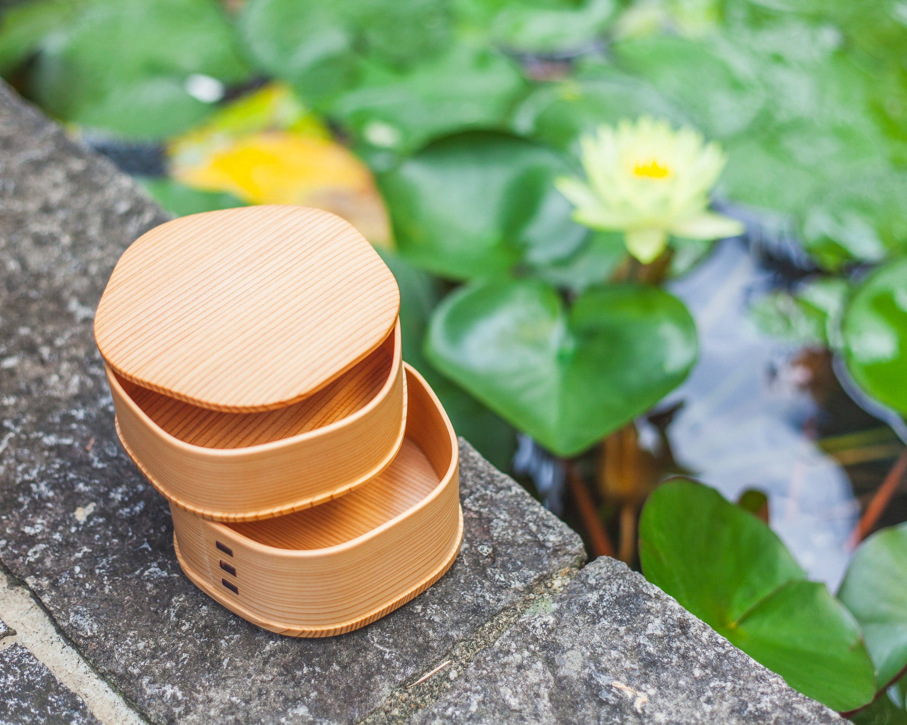Magewappa Koban I Authentic Japanese Bento – Bento&co