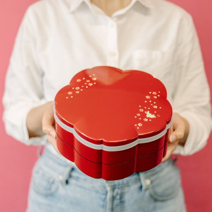 Picnic Bento Box Collection – Bento&co